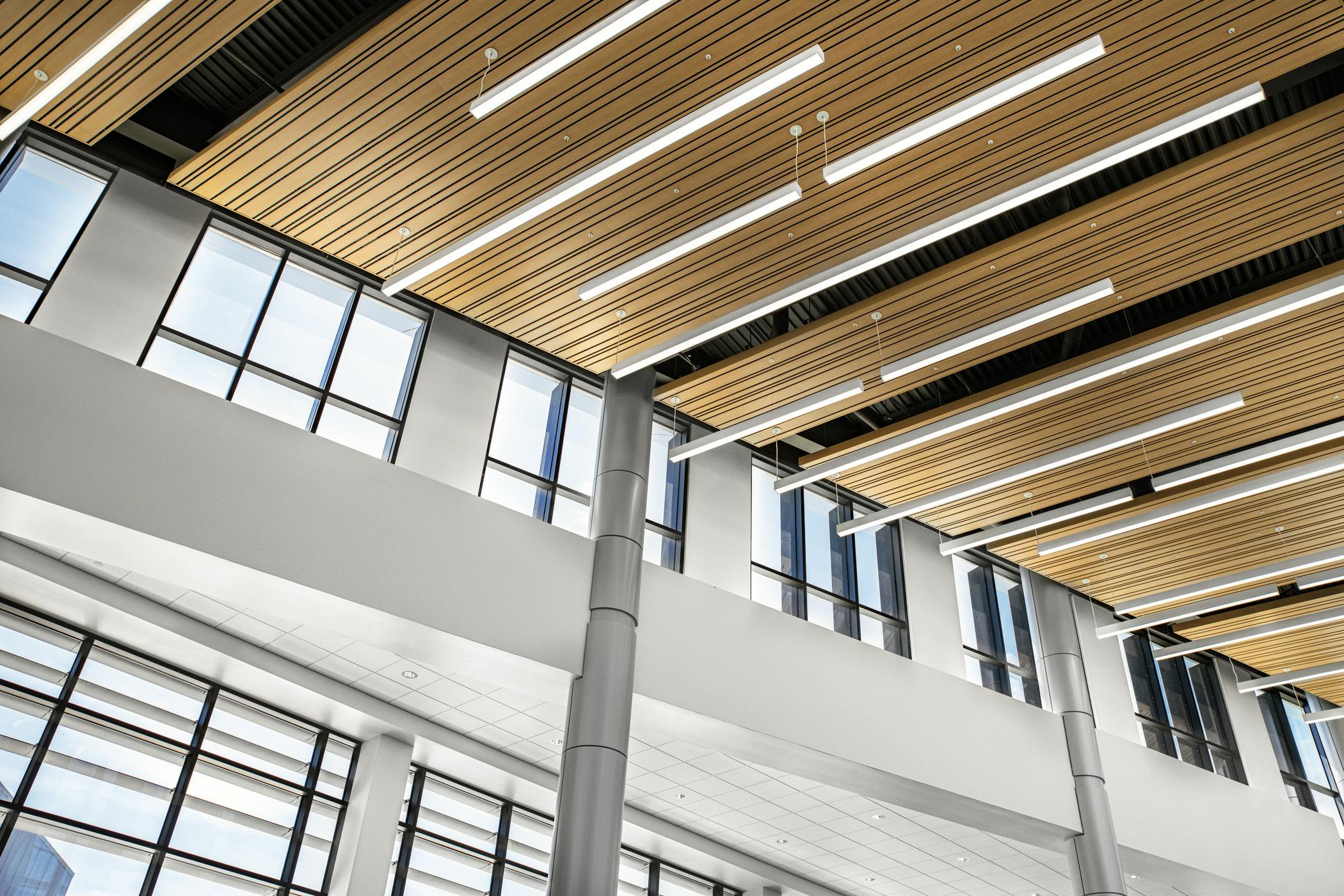 Live Oaks | MSA Design