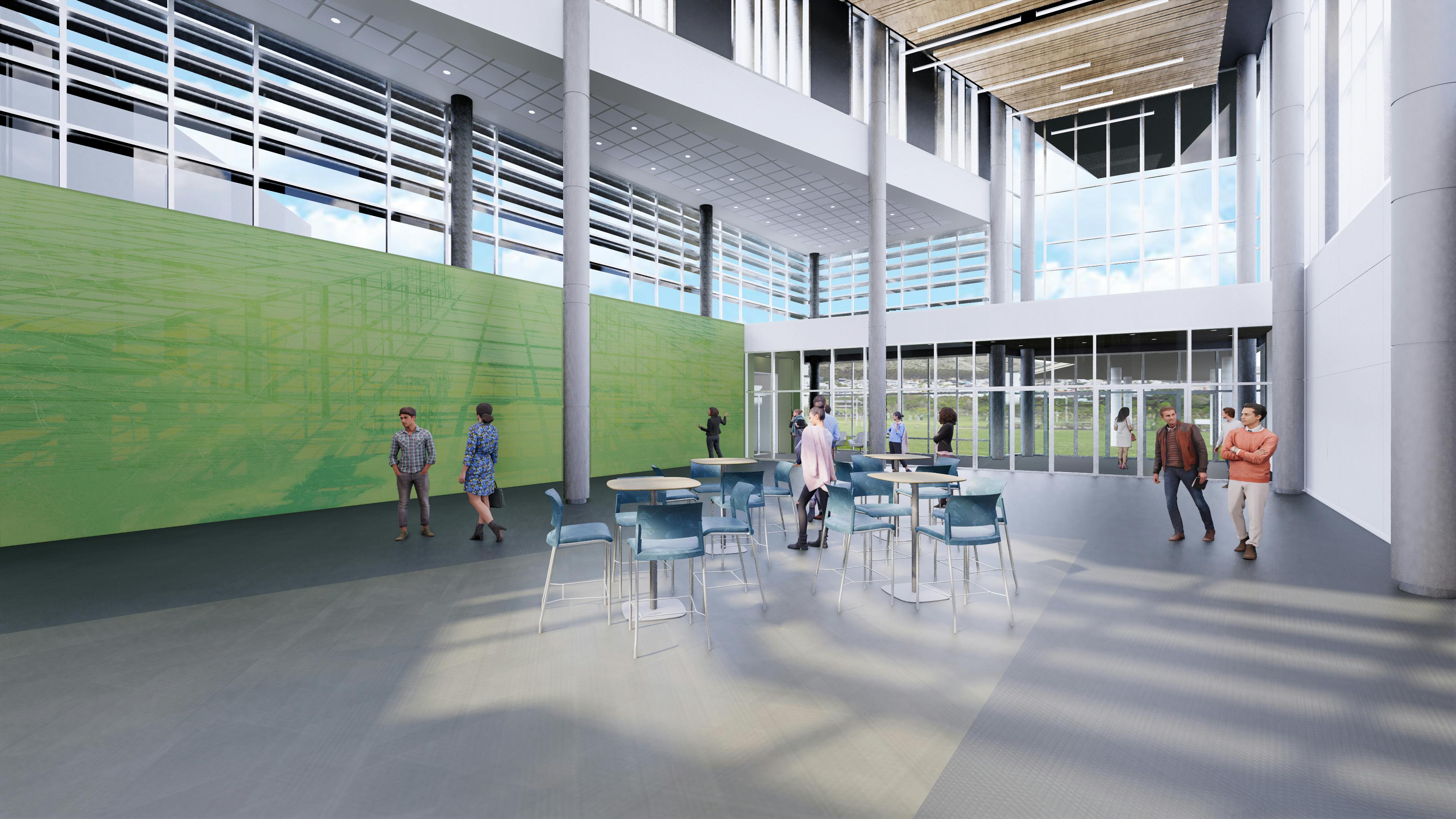 Live Oaks | MSA Design