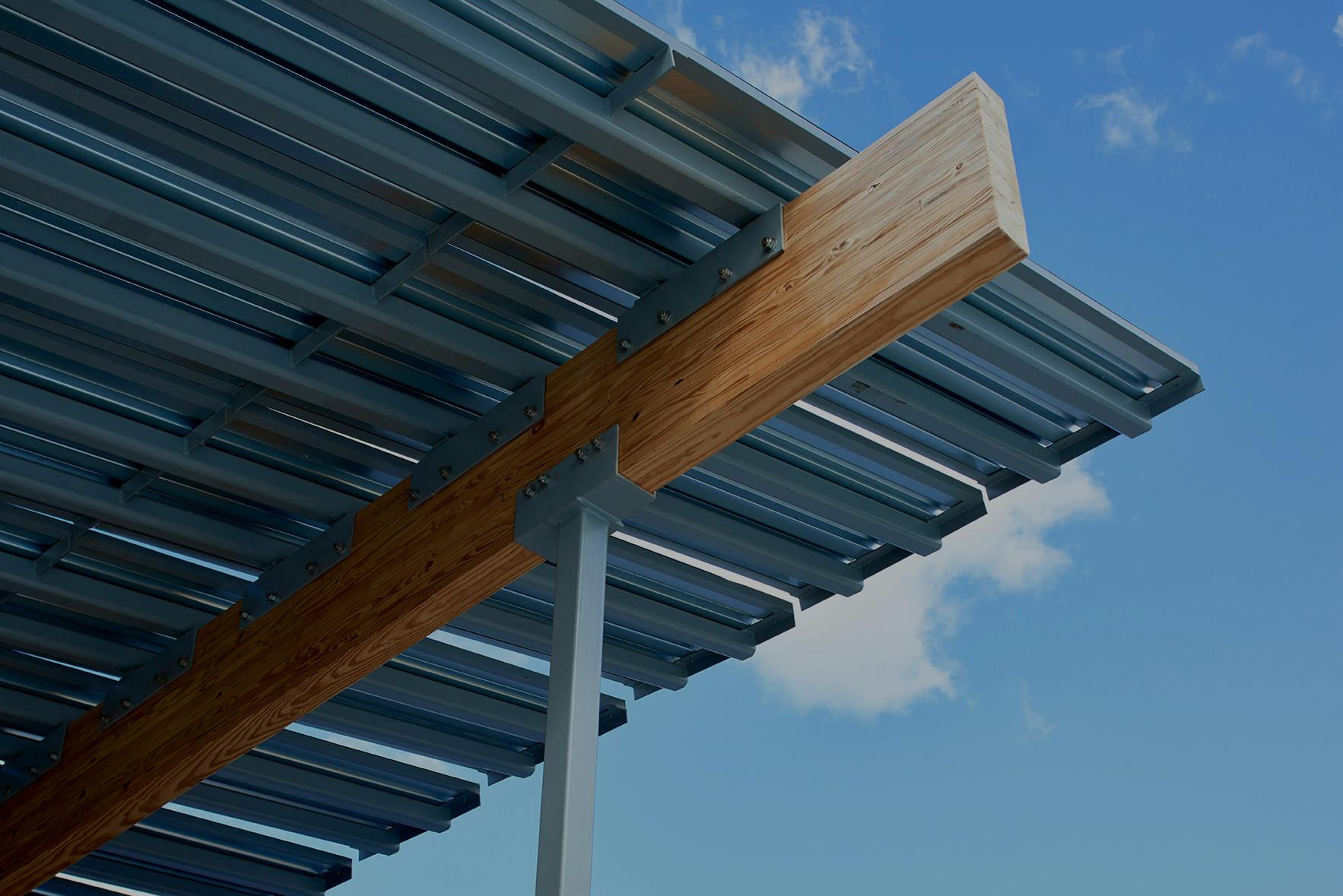 Athens City Pool | MSA Design